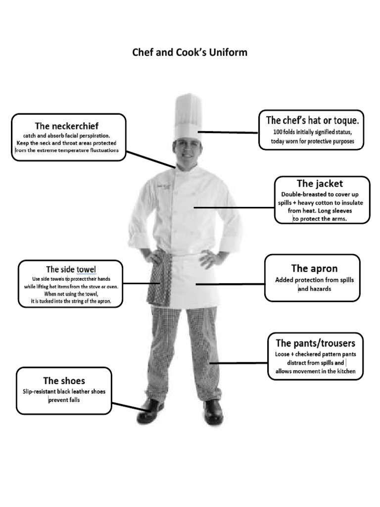 Chef Uniform: Components and Uses | PDF | Necktie | Blouse