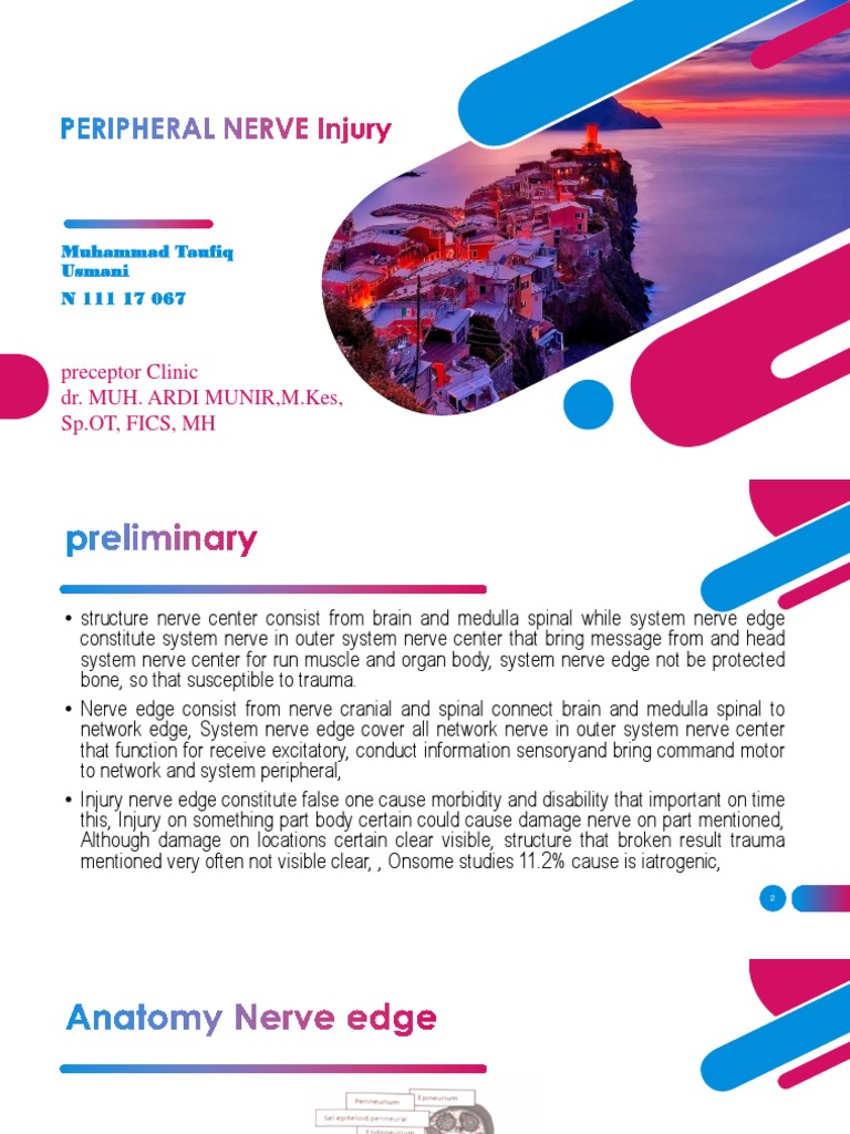 Nerve Injury Treatment Options | PDF | Nerve | Axon