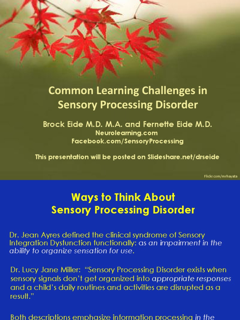 Learning Challenges in Sensory Processing Disorder Powerpoint | PDF ...