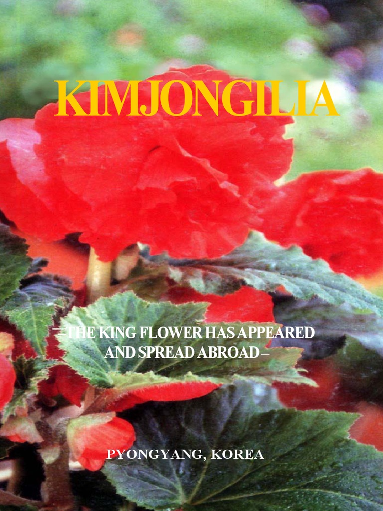 Kimjongilia: - The King Flower Has Appeared and Spread Abroad | PDF ...