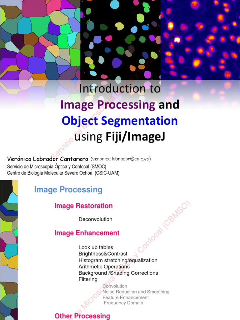 Segmentation ImageJ Fiji PDF | PDF | Image Segmentation | Optics