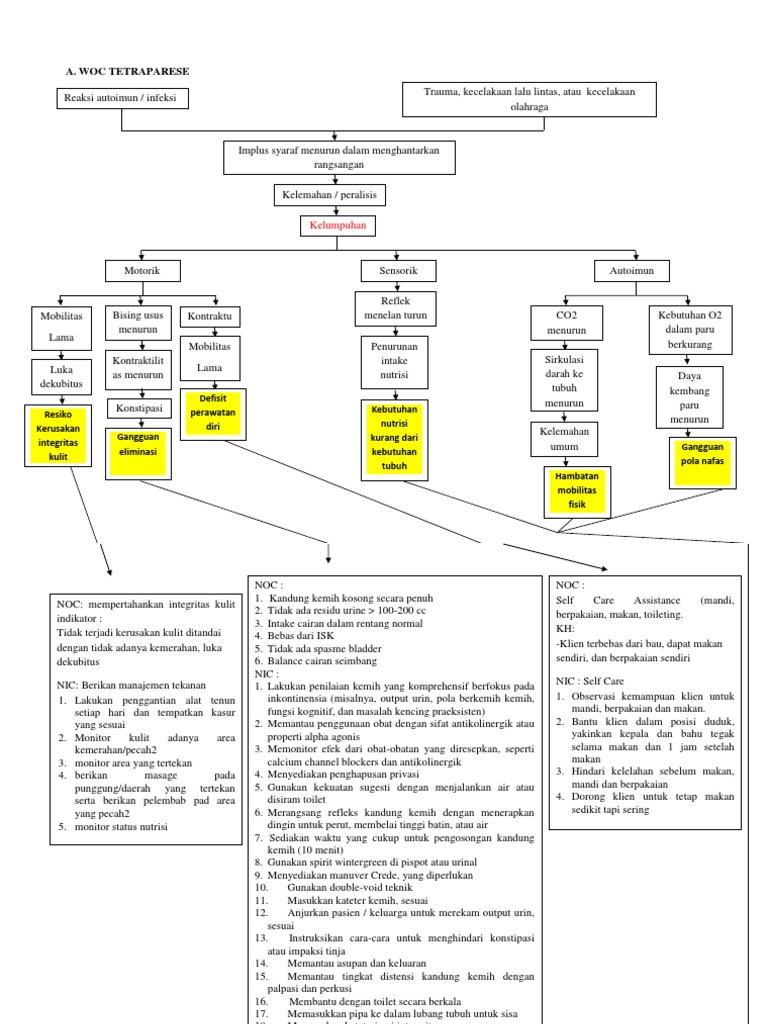 Penatalaksanaan WOC pada Tetraparese | PDF