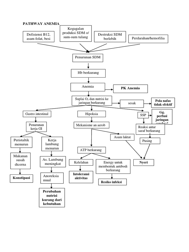 Pathway Anemia | PDF