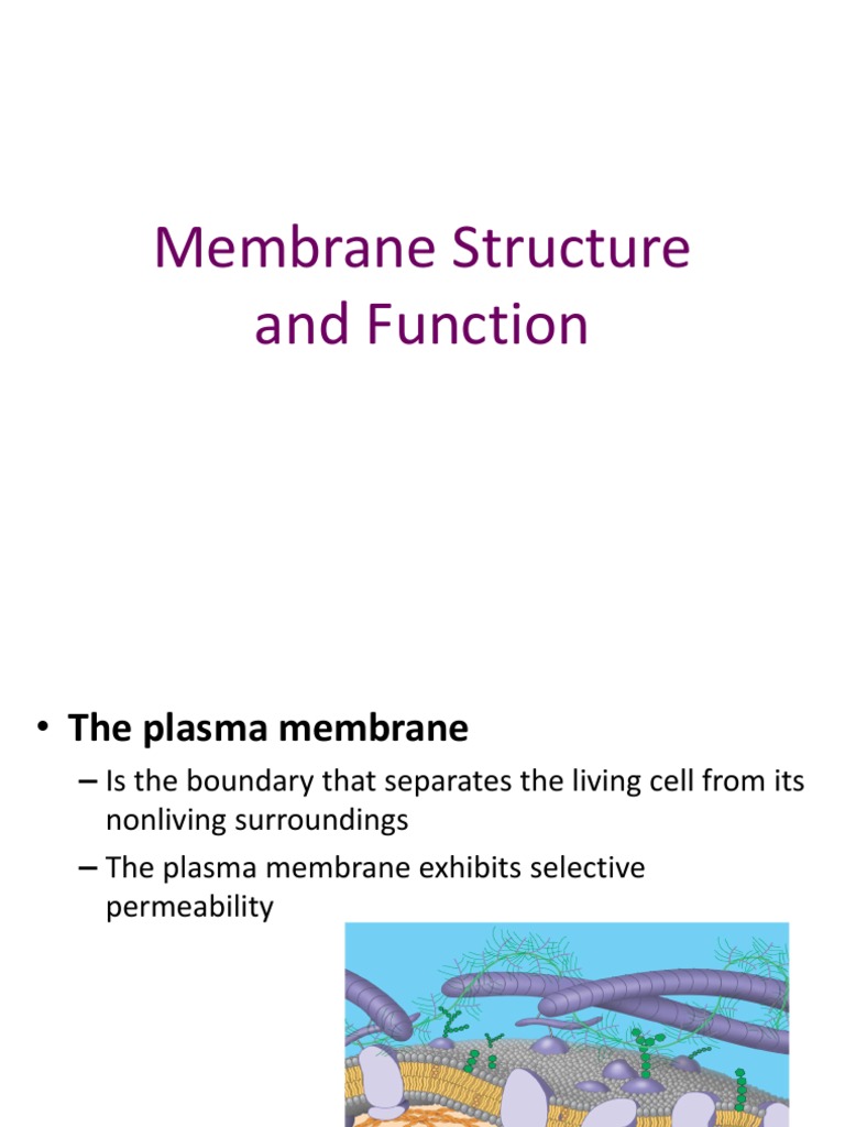 Ppt Unit 2 Part 1 Cell Structure And Function Membrane Machine