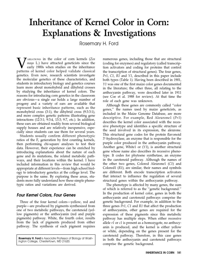 Inheritance of Kernel Color in Corn | Download Free PDF | Dominance ...