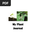 Observation of Mongo | PDF