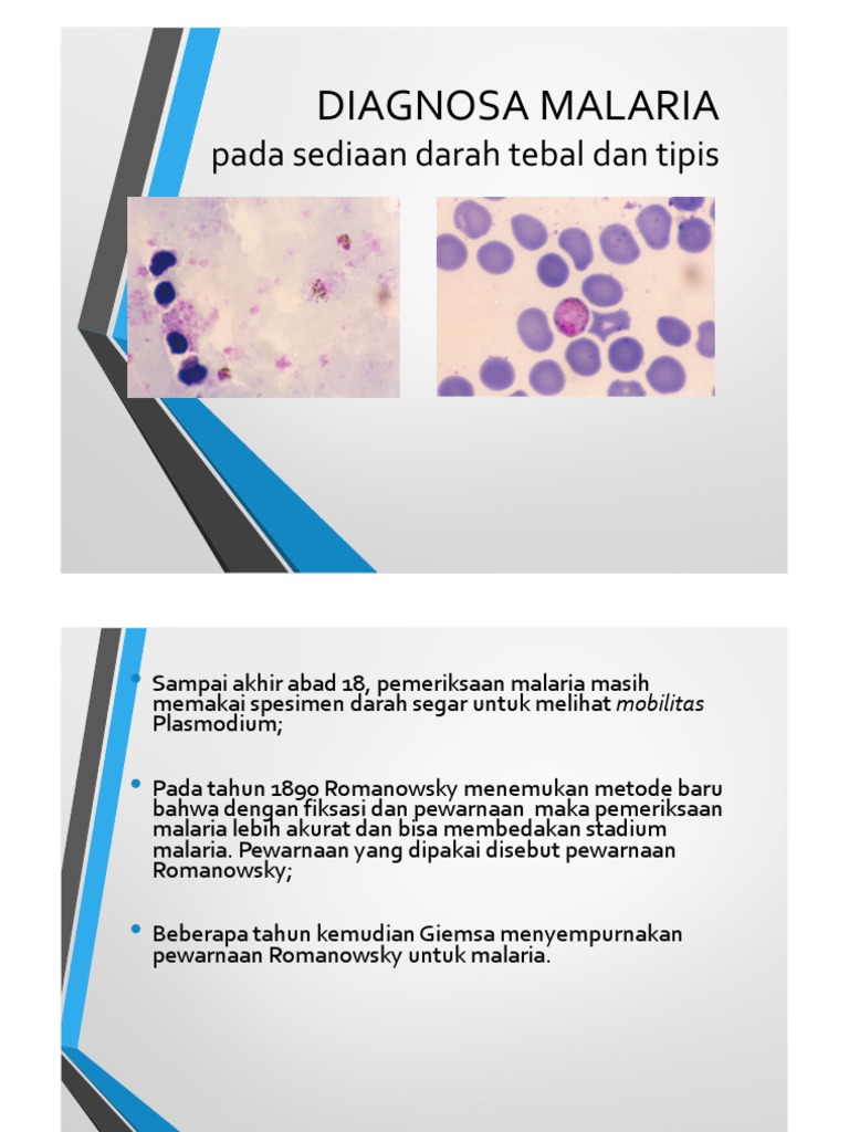 Diagnosa Malaria pada Sediaan Darah | PDF