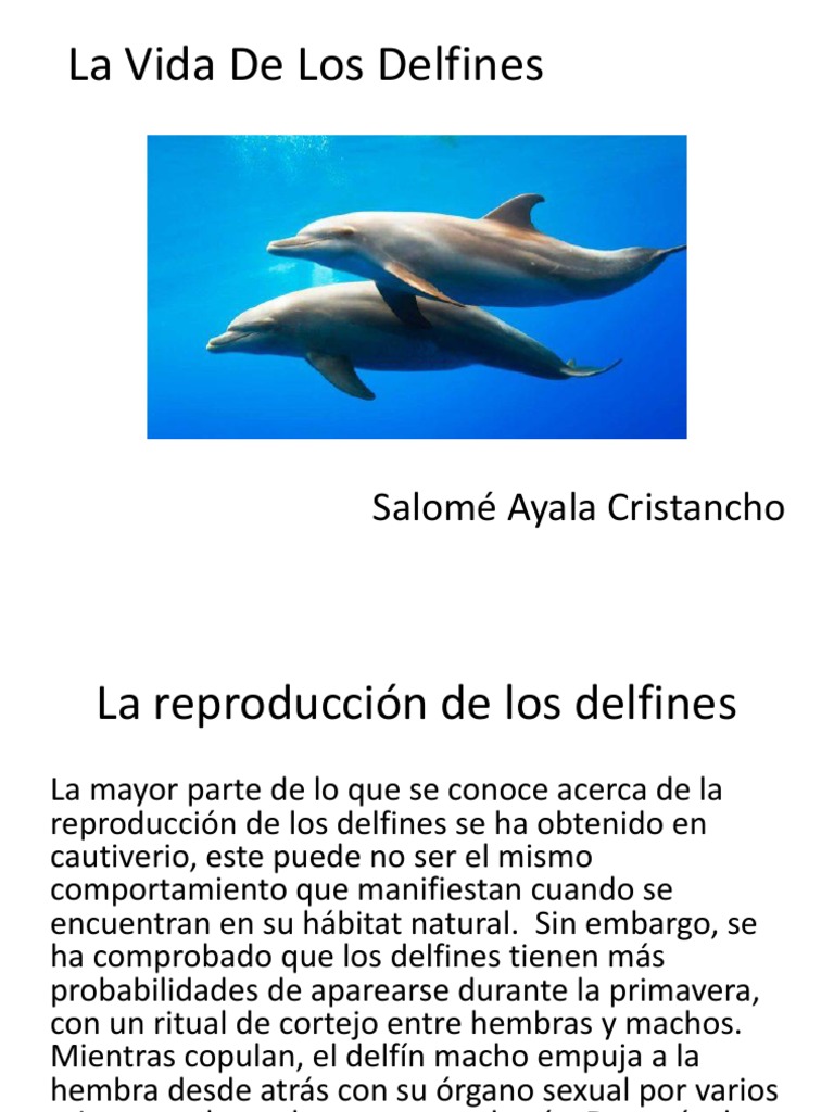 La Vida De Los Delfines: Salomé Ayala Cristancho | Apareamiento ...