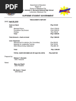 SSG Financial Statement | PDF