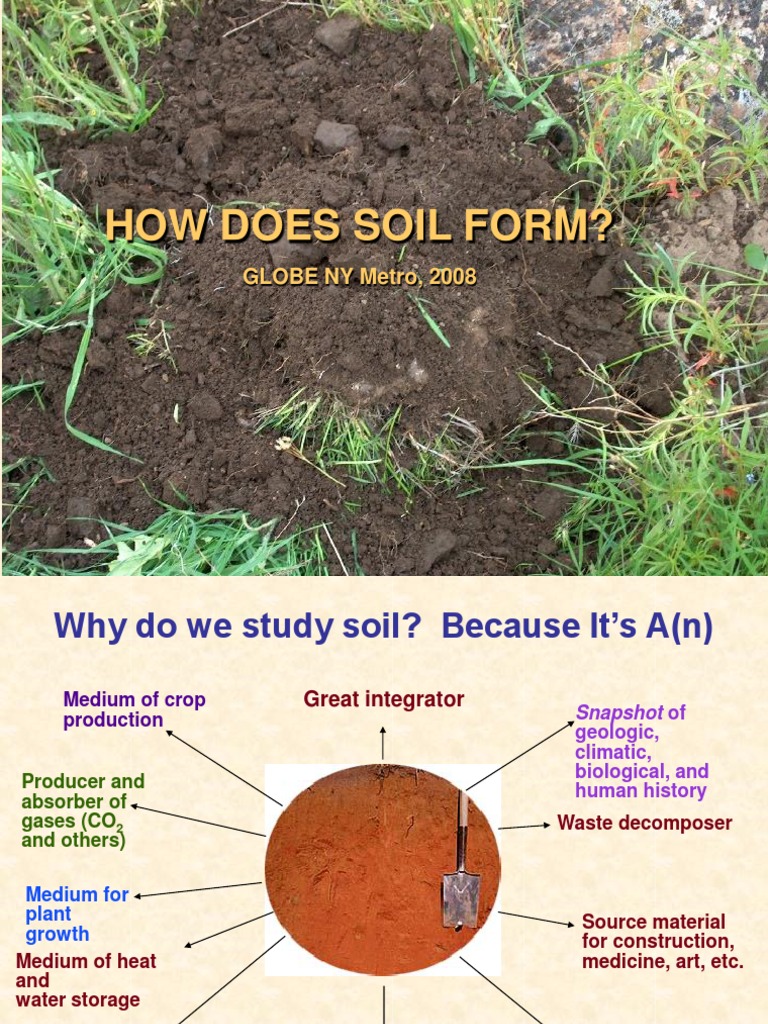 How Does Soil Form?: GLOBE NY Metro, 2008 | PDF | Soil | Rock (Geology)