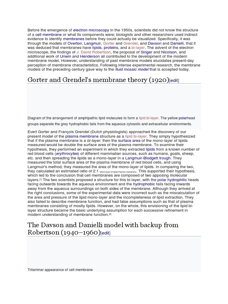 Gorter and Grendel's Membrane Theory (1920) | PDF | Cell Membrane ...
