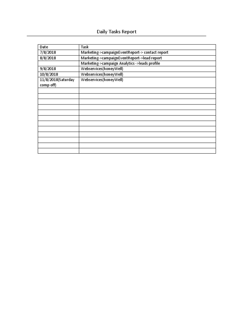 Daily Task Report | PDF