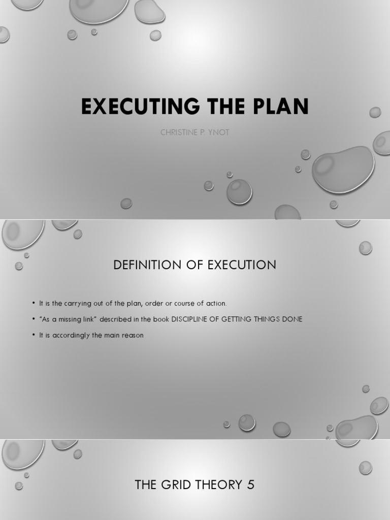 Executing The Plan | PDF | Human Resource Management | Leadership