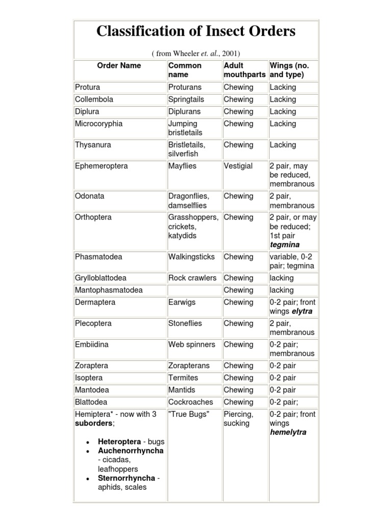 Insect Orders Classification Chart | PDF | Insects | Fly