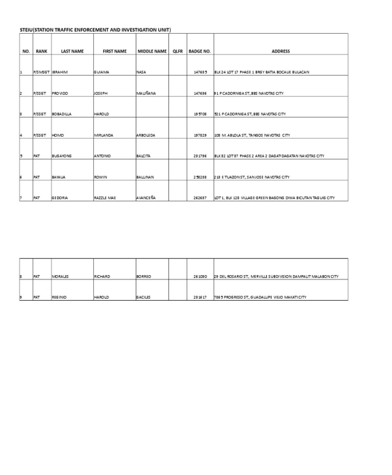 Steiu (Station Traffic Enforcement and Investigation Unit) | PDF
