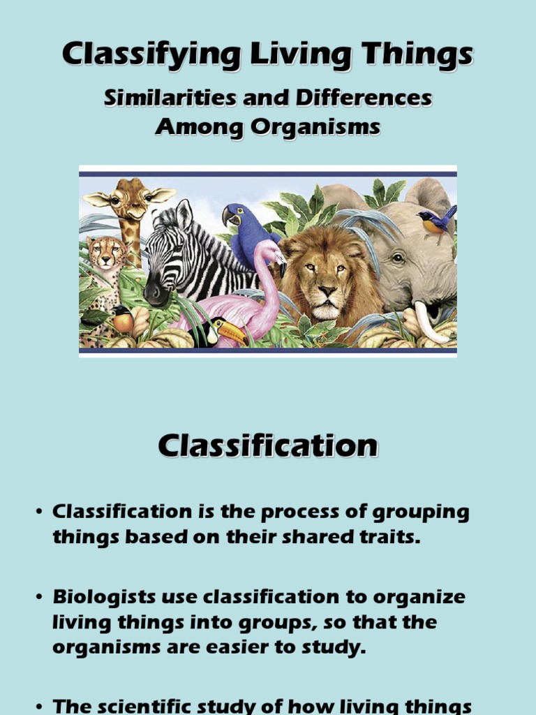 Classifying Living Things: Similarities and Differences Among Organisms ...