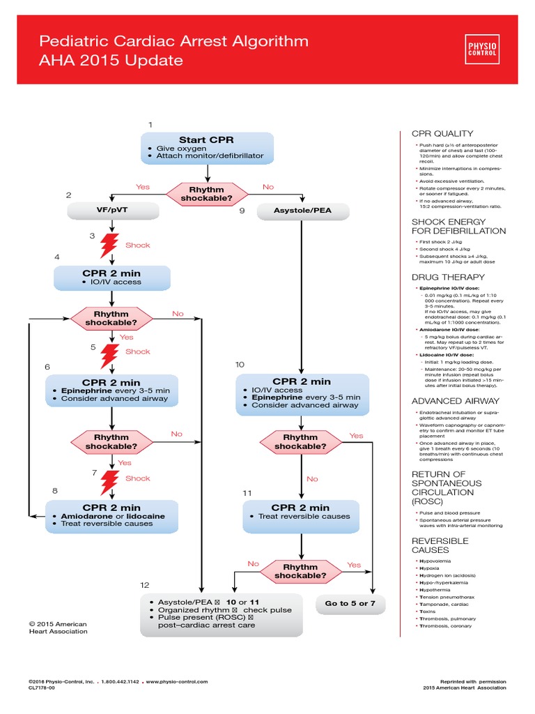 Pediatric Cardiac Arrest Algorithm-2015 Update | PDF | Cardiopulmonary ...