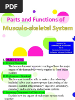 The Skeletal System - Skeleton - Living Organisms - KS3 Biology - BBC ...