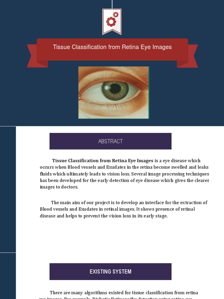 Tissue Classification From Retina Eye Images | PDF | Retina | Eye