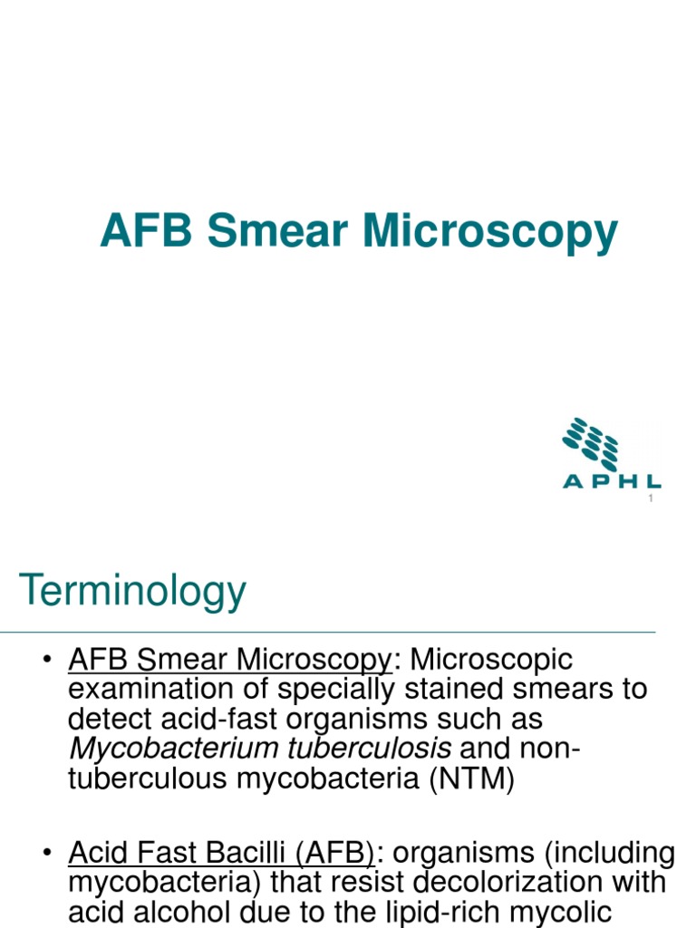 AFB Smear Microscopy Overview | PDF | Tuberculosis | Staining