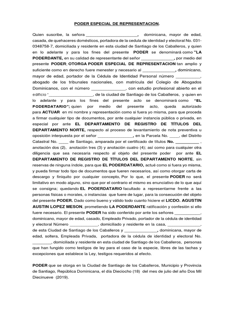 Poder Especial de Representacion | PDF | República Dominicana | Información del gobierno