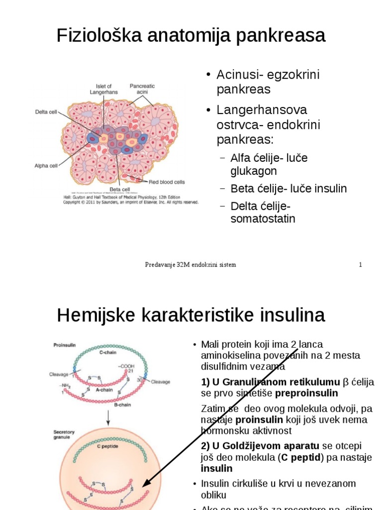 ENDOKRINA Fiziologija | PDF