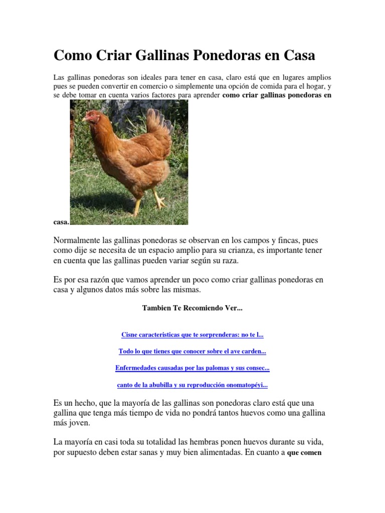 Como Criar Gallinas Ponedoras en Casa (Reparado) | PDF | Cabra | Pollo