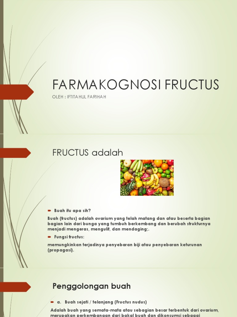 Farmakognosi Fructus | PDF