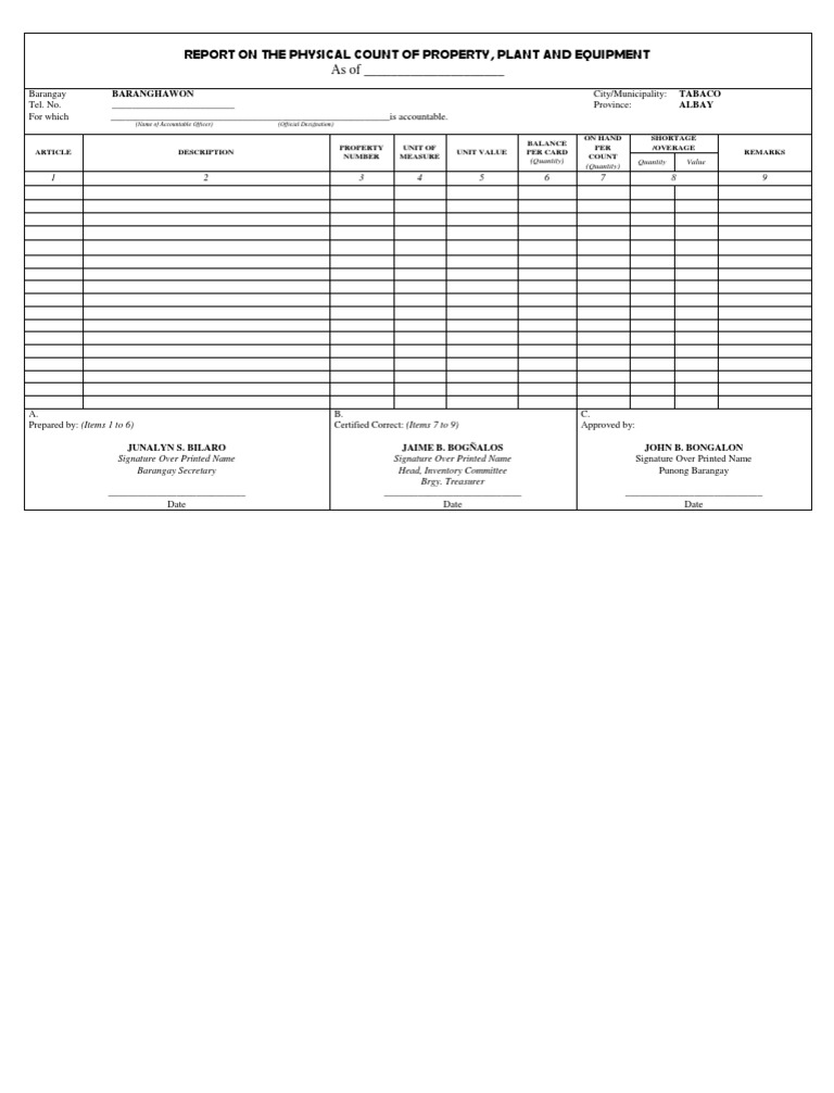 Report On The Physical Count of Property | PDF | Business | Business