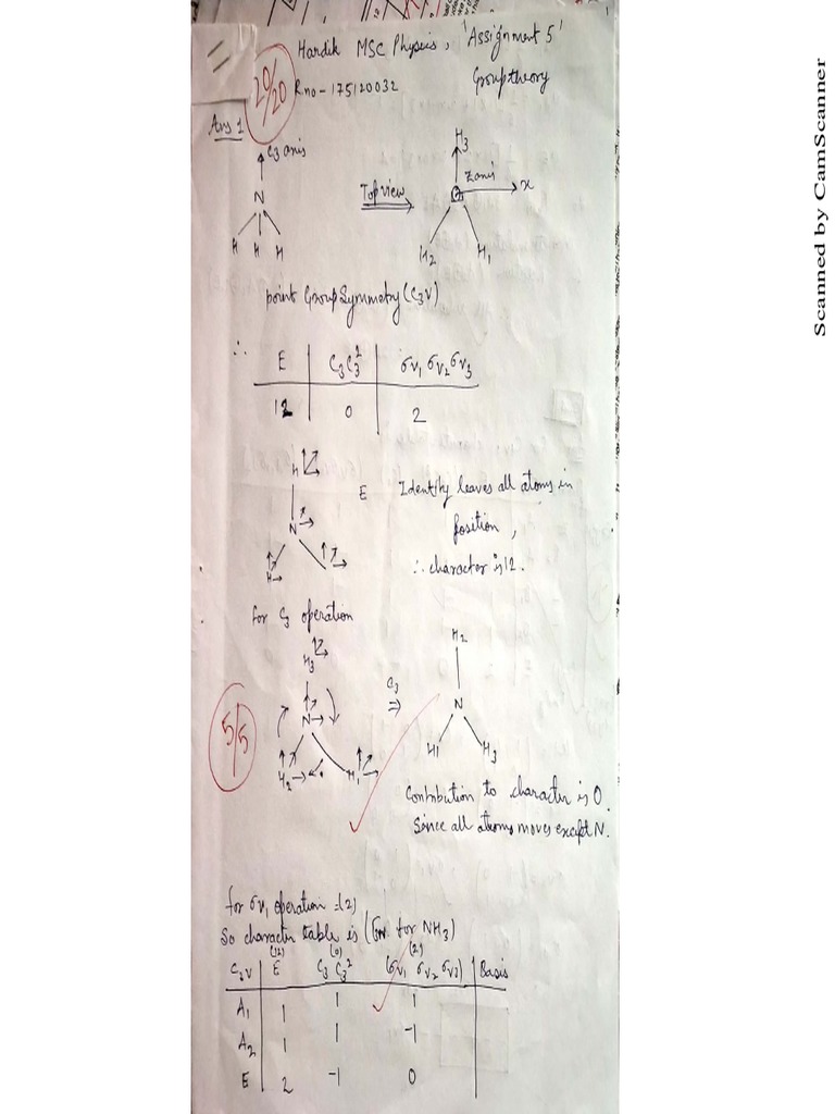 Group Theory Homework Solutions | PDF