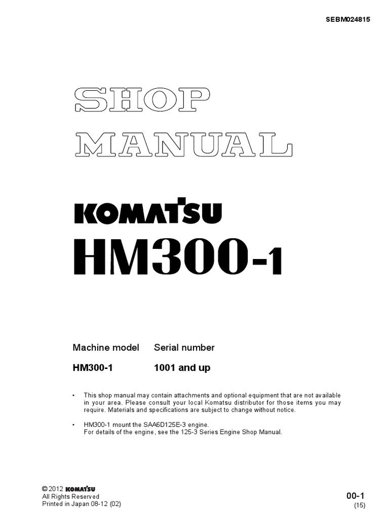 HM 300 PDF | PDF | Troubleshooting | Crane (Machine)