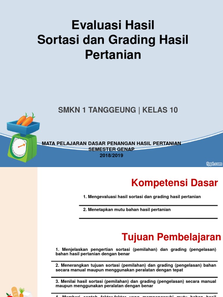 Perbedaan Sortasi Dan Grading - Arli Blog