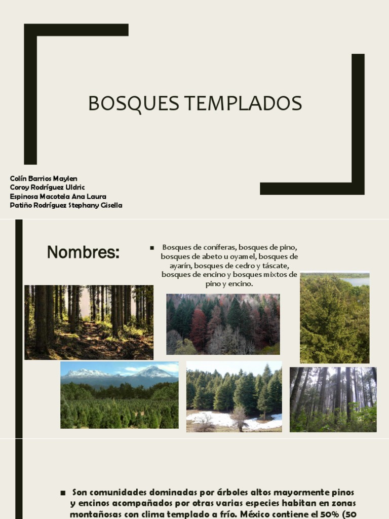 Características de los Bosques Templados en México | PDF | Clima ...