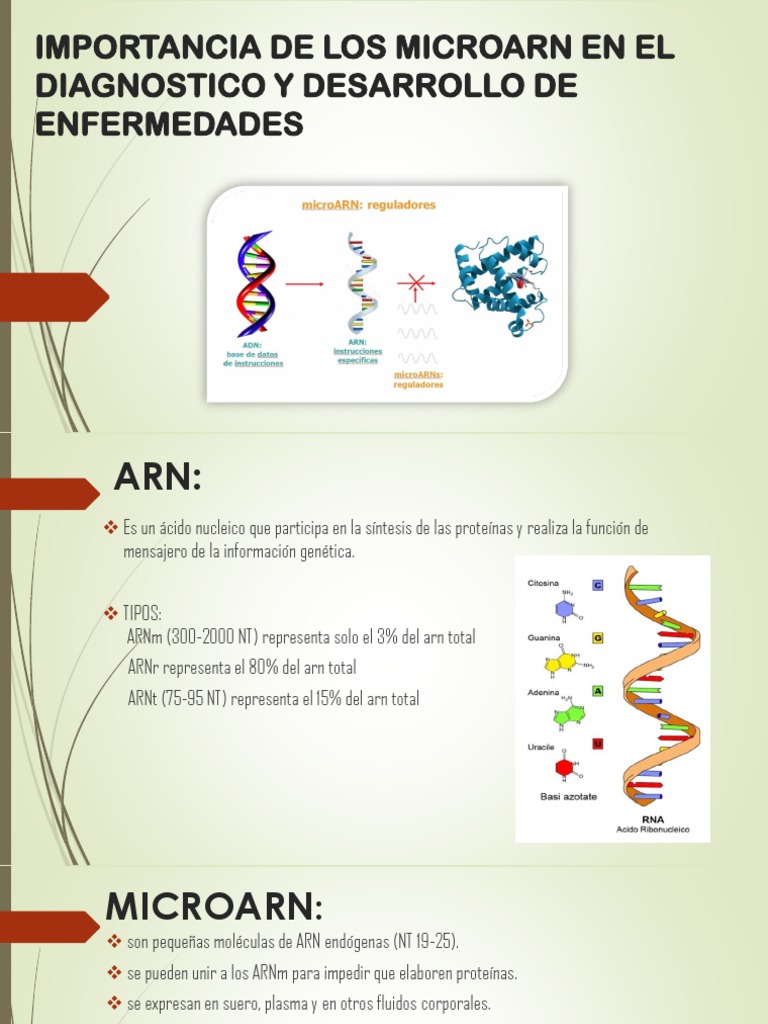 Microarn | PDF | Micro Rna | Rna