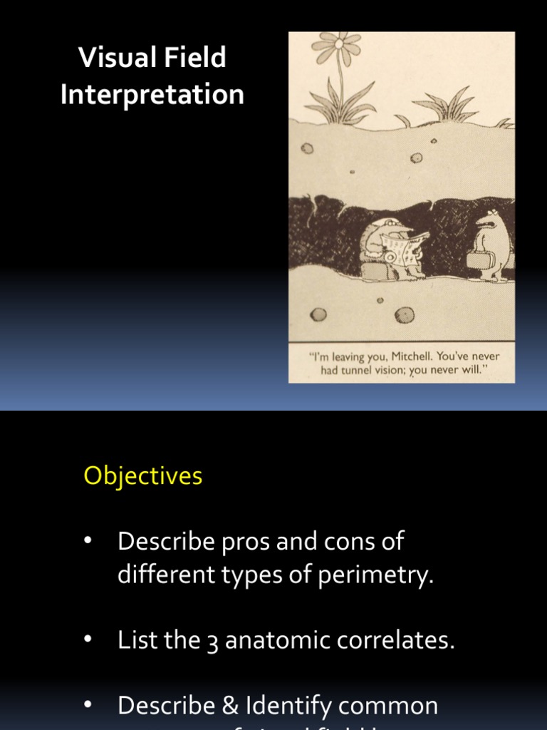 Visual Field Interpretation | PDF | Ophthalmology | Diseases Of The Eye And Adnexa
