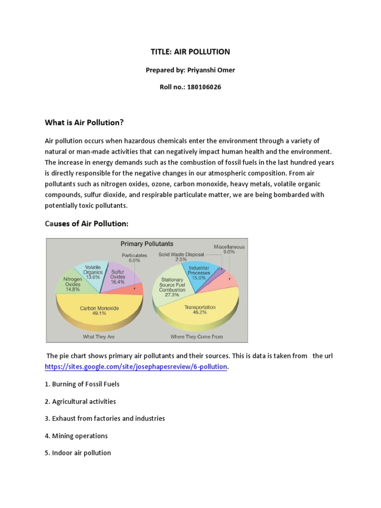 Report On Air Pollution | PDF | Air Pollution | Pollution