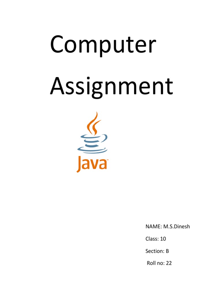 Class 10 Computer Assignment by M.S. Dinesh | PDF