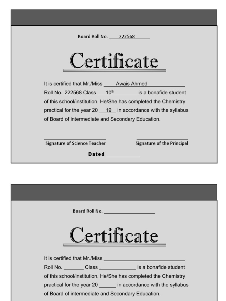 Certificate PDF | Download Free PDF | Learning | Educational Stages