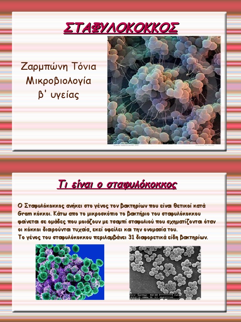 Slideshow Stafulokokkos | PDF