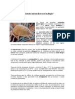 Ácaros del polvo: Dermatophagoides y Euroglyphus | PDF | Alergia