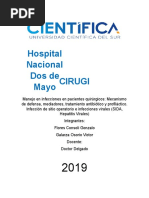 GPC CELULITIS - P | PDF | Staphylococcus Aureus | Especialidades Medicas