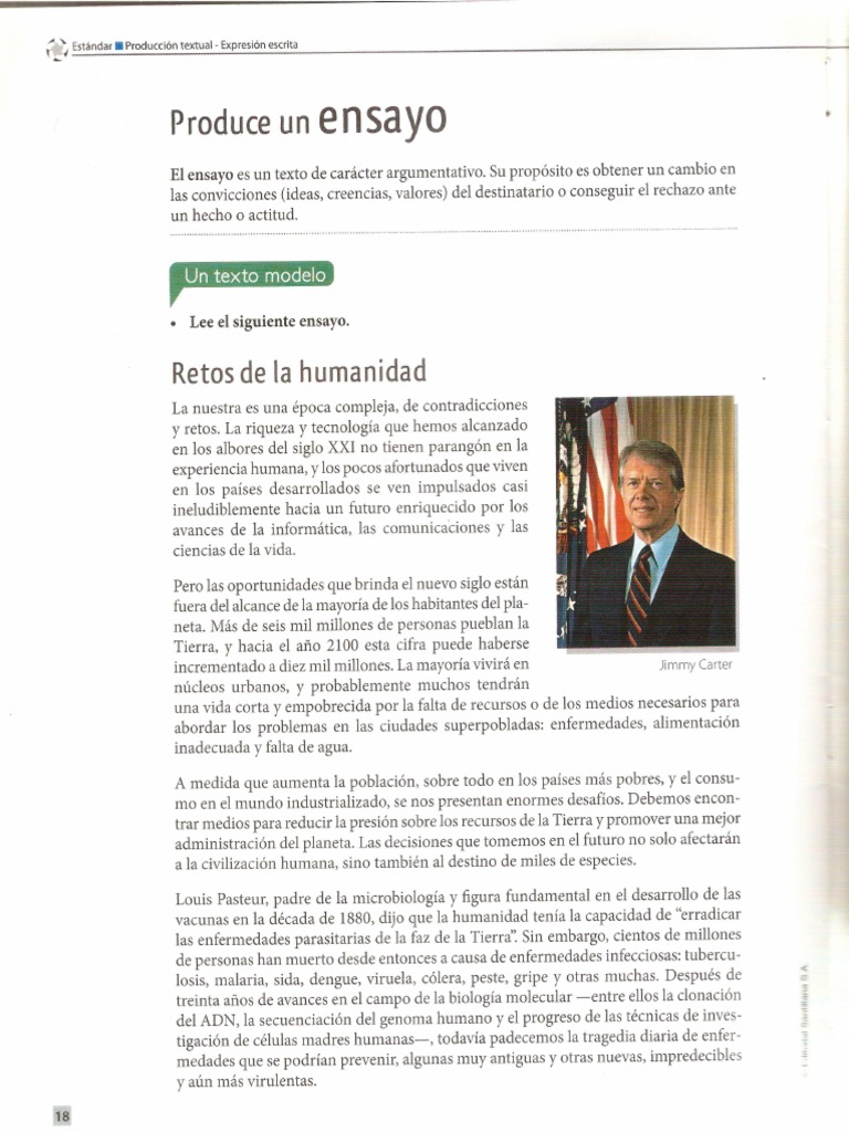 Cómo Escribir Un Ensayo | PDF