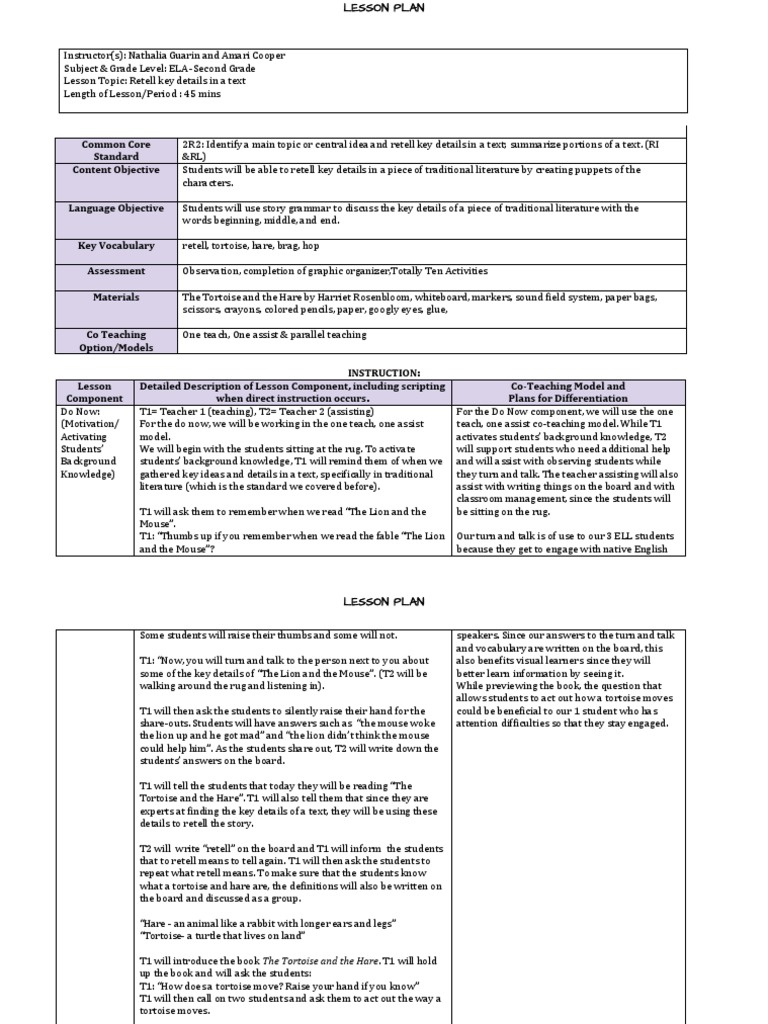Diiferentiation Lesson Plan 1 | PDF | Lesson Plan | Homework