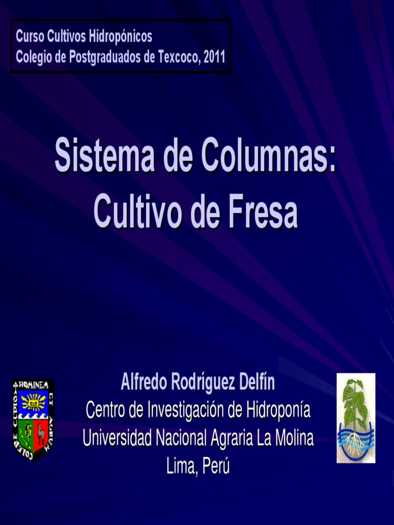 Fresas PDF | PDF