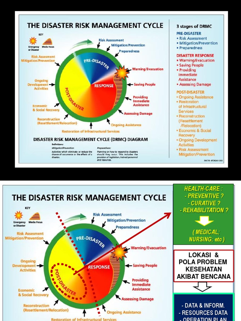 Disaster | PDF | Risk Management | Health Care