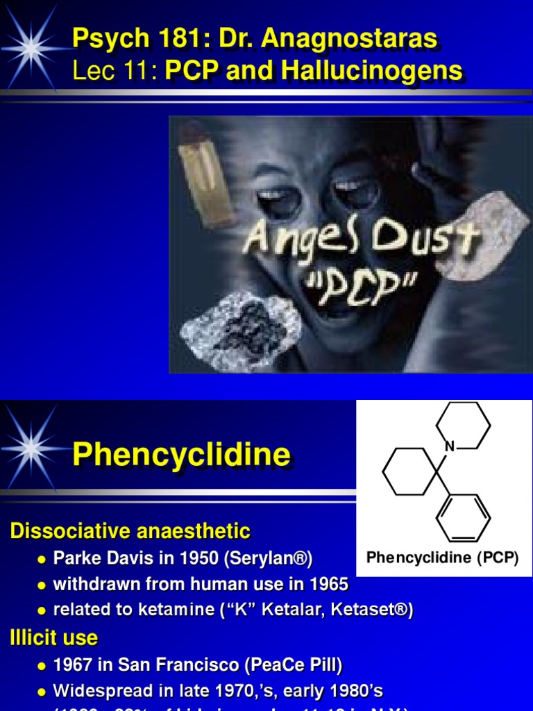 Psych 181: Dr. Anagnostaras PCP and Hallucinogens | PDF | Phencyclidine ...