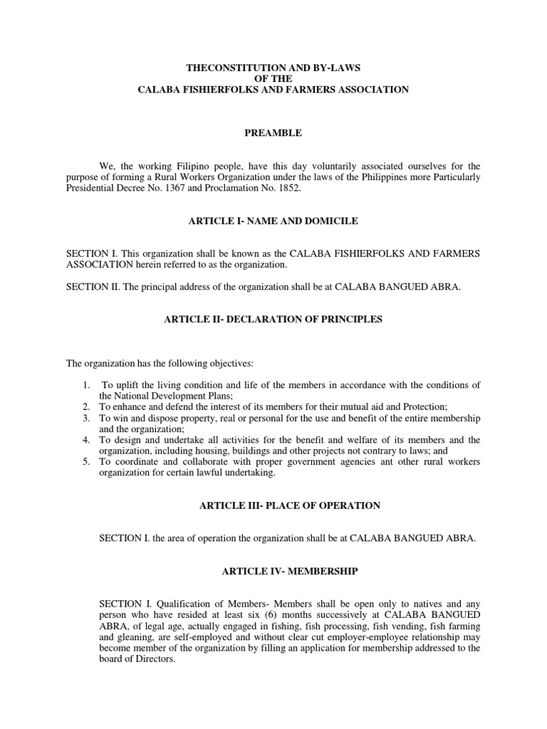 Constitution and By-Laws | PDF | Ratification | Board Of Directors