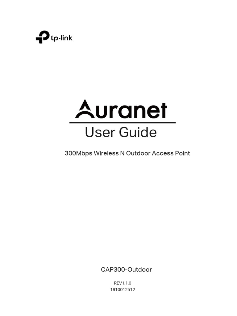 User Guide: 300Mbps Wireless N Outdoor Access Point | PDF | Wi Fi | Radius