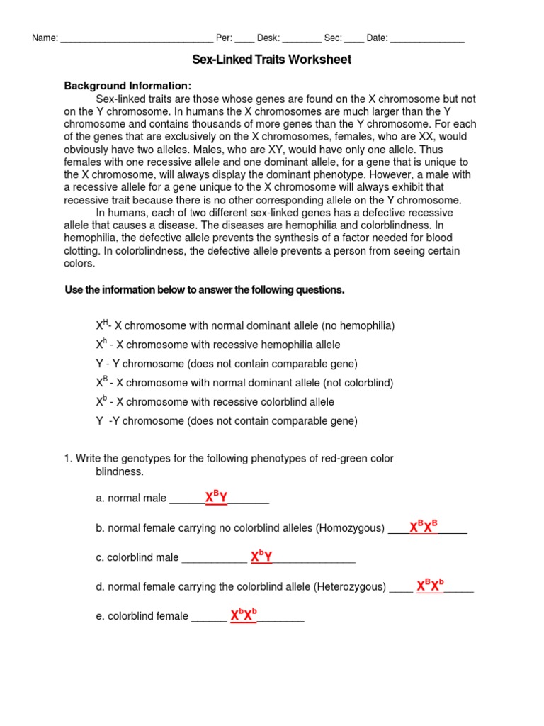 Sex Linked Worksheet | PDF | Dominance (Genetics) | Allele