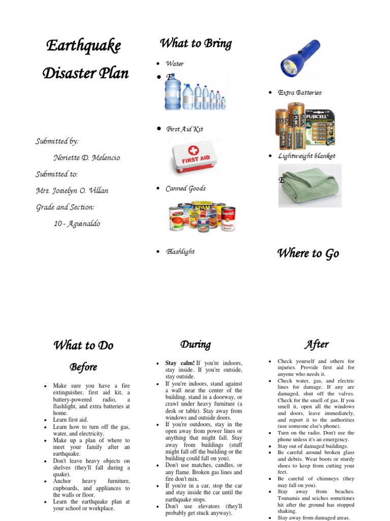 Earthquake Disaster Plan: What To Bring | PDF | Geological Hazards ...